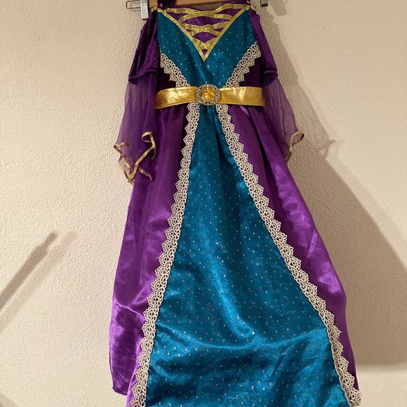 Costumes | Halloween Princess Costume Girl Size 46 Color Purple Aqua ...